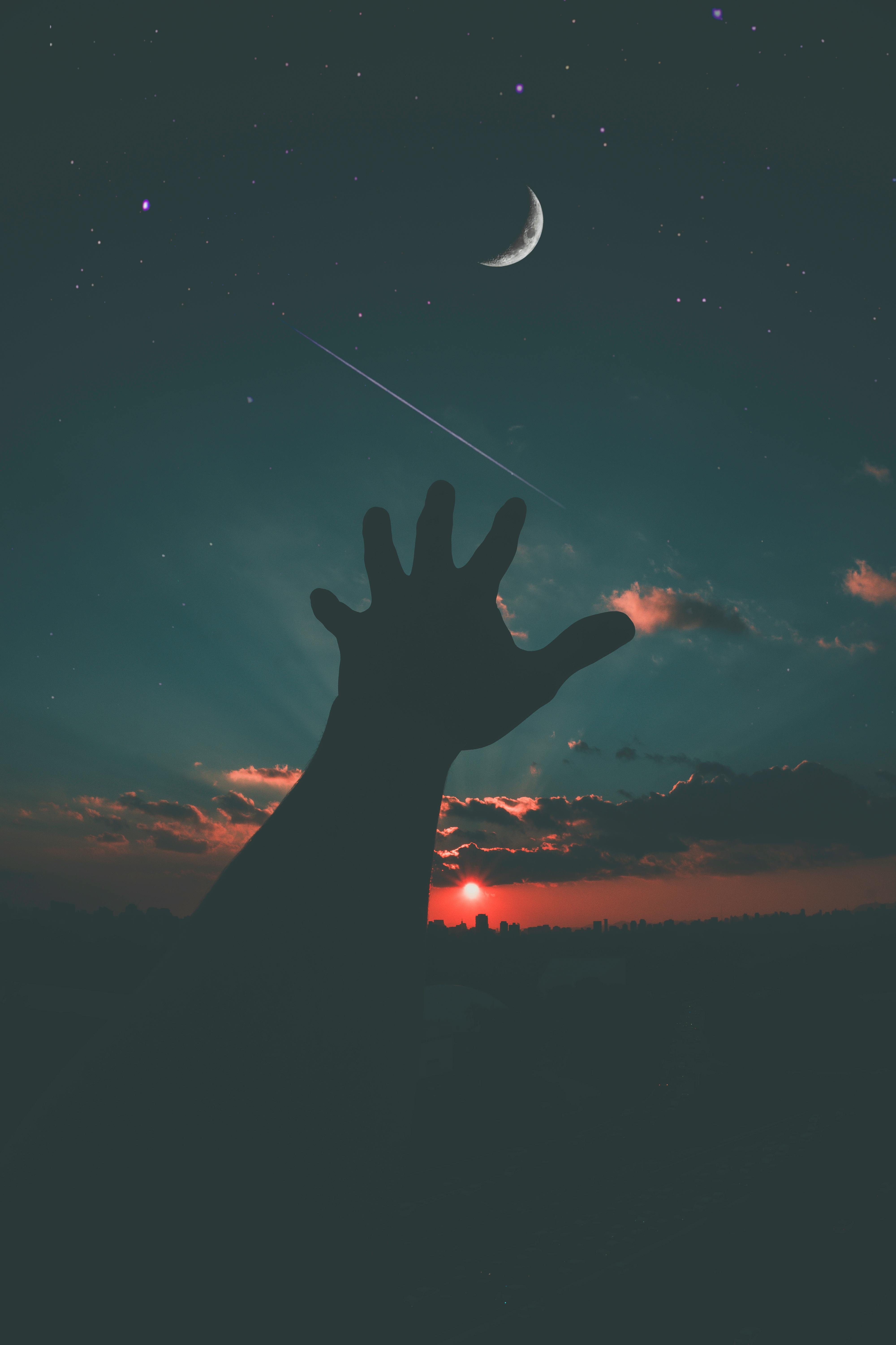 Volume 1, Edition 1 Fall 2024 – The Judson Mosaic